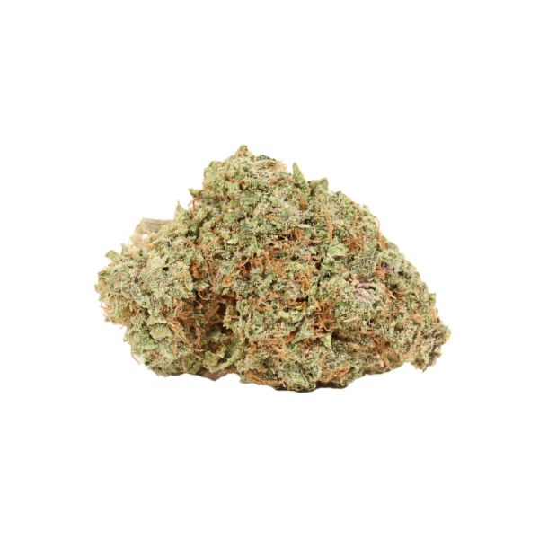 High Octane - MyLegacyOttawa