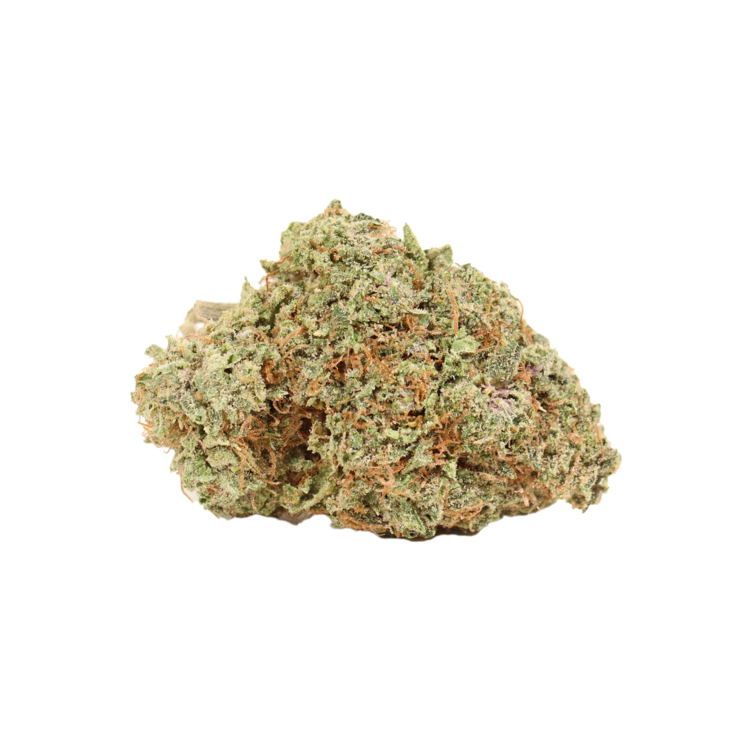 High Octane - MyLegacyOttawa