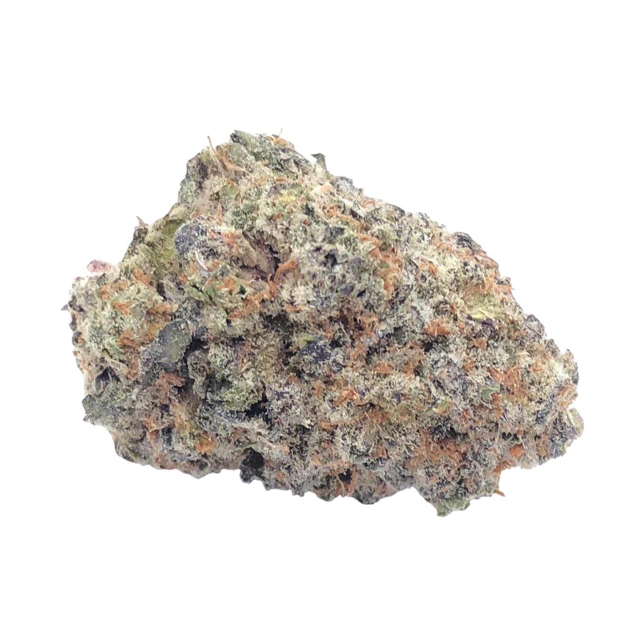 El Chapo - MyLegacyOttawa