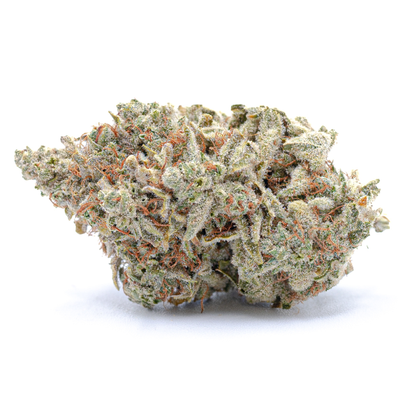 Cereal Milk - MyLegacyOttawa