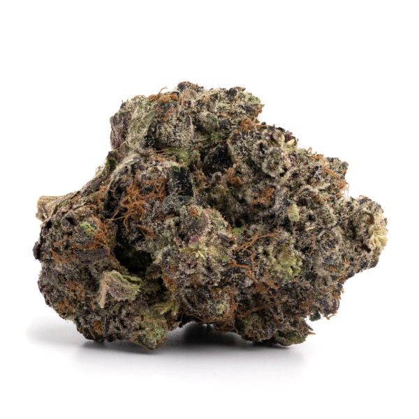 Grand Daddy Purple - MyLegacyOttawa